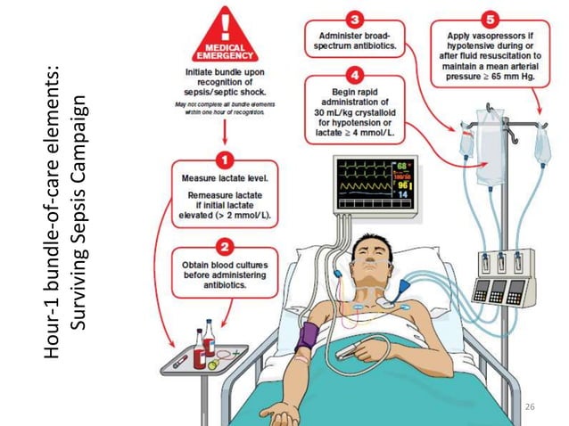 Sepsis | PPTX | First Aid | Injuries