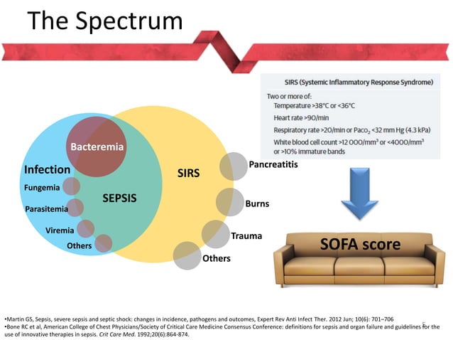 Sepsis | PPTX | First Aid | Injuries