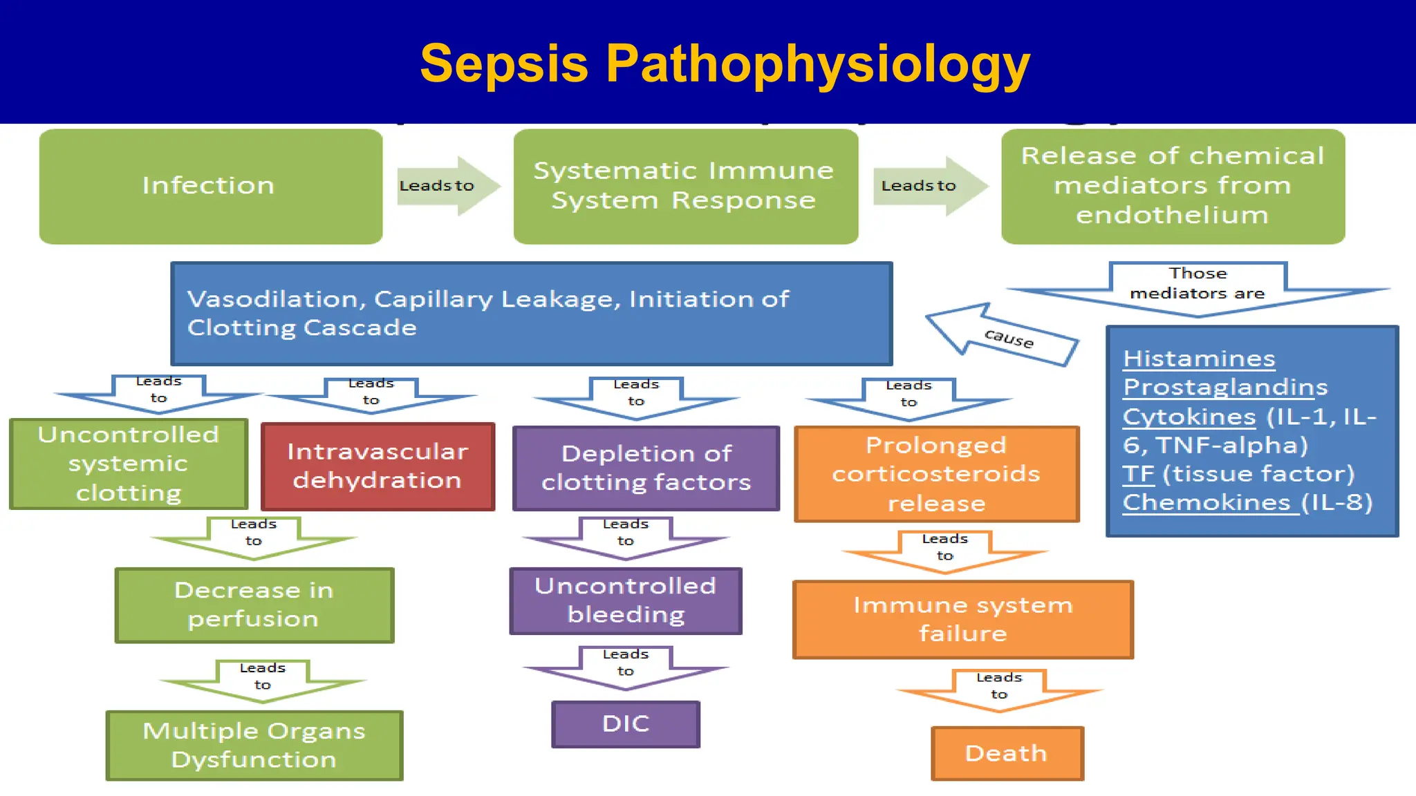 sepsis update taiz univer 15-7-2024.pptx