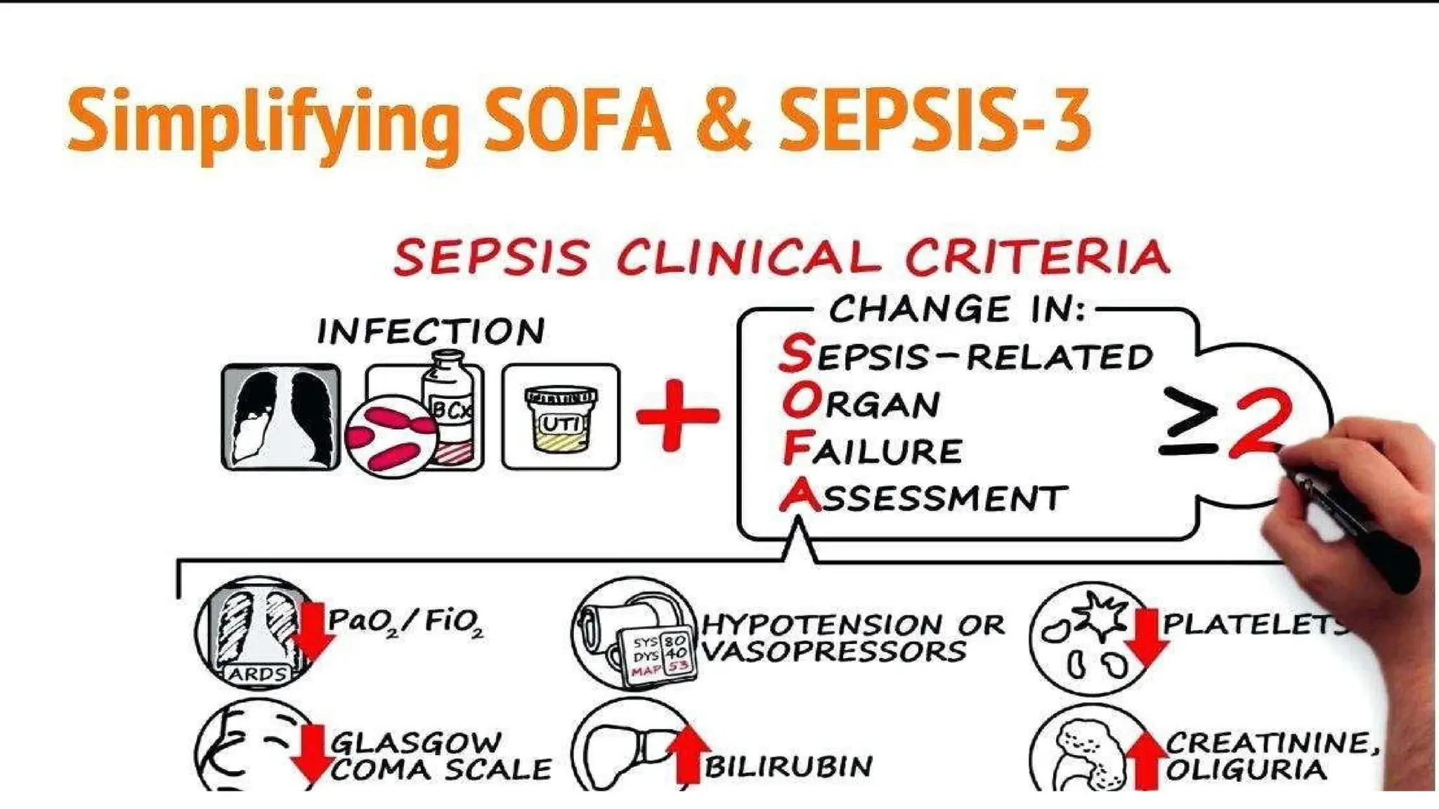 sepsis update taiz univer 15-7-2024.pptx