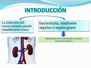 Sepsis urinaria | PPTX