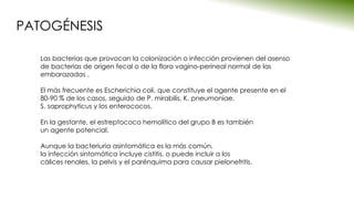 SEPSIS URINARIA Y EMBARAZO SERMI.pqwwptx | PPTX