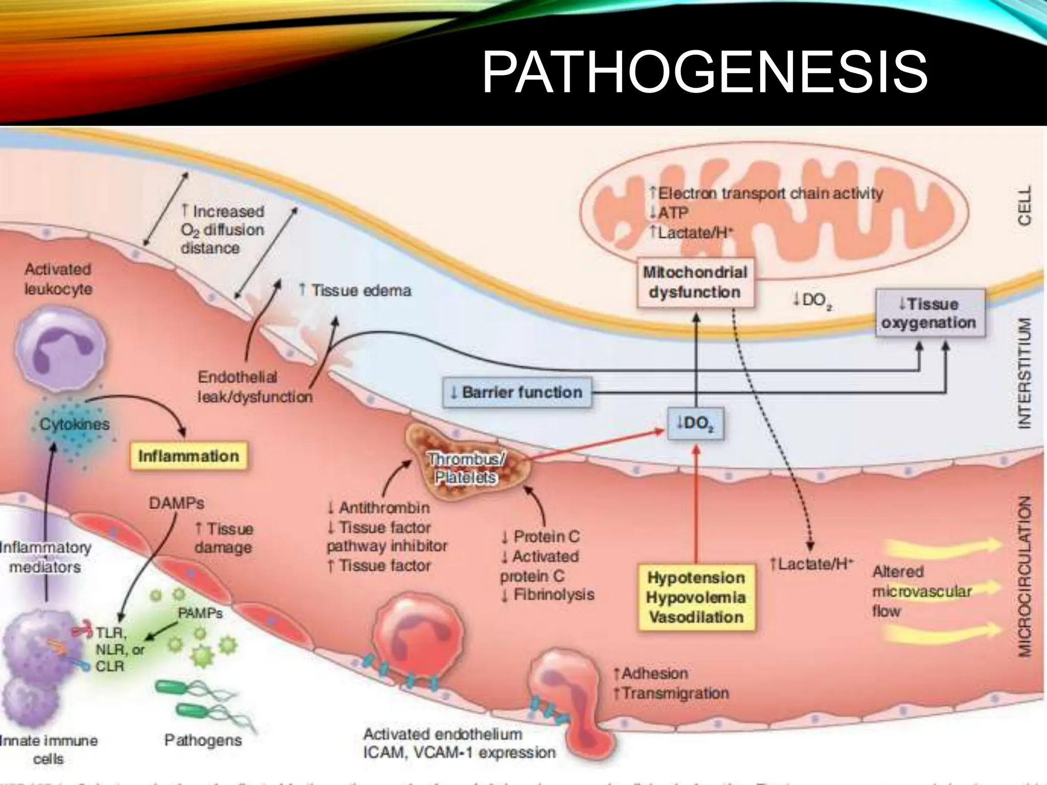Sepsis with Septic Shock and its management.pptx