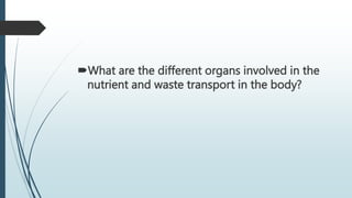 sept-17-Nutrient-and-Waste-Transport-System.pptx