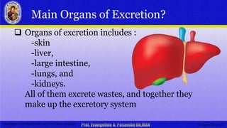 Sept.-3-Sources-of-fluids-and-fluid-excretion.pptx