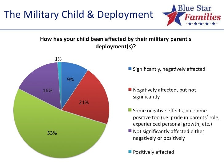2010 Military Family Lifestyle Survey Results (Slides)