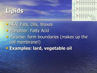 Sept 7 (biomolecules lipids proteins) | PPT | Biological Sciences | Science