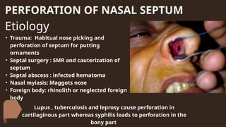 septal hematoma,septal abscess,septal perforation and synichae_20250823 ...