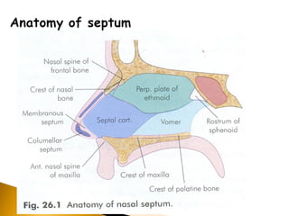 SEPTAL SURGERY & ANTRAL PUNCTURE | PPT