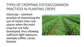 September 30, 2022 Lesson Agri-crop.pptx