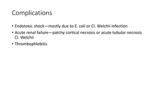 Septic abortion for Revision.pptx