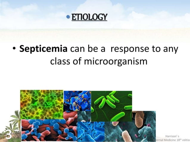 Septicemia | PPTX | Blood Disorders | Diseases and Conditions
