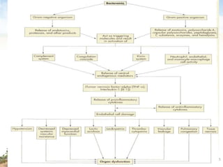 Septicemia | PPTX