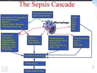 Septicemia | PPTX