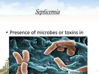 Septicemia | PPTX