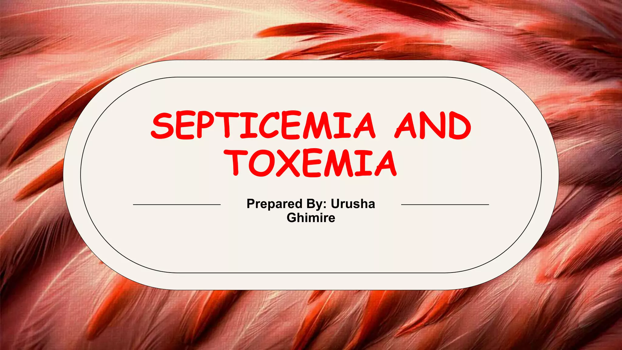 Septicemia and toxemia.pptx