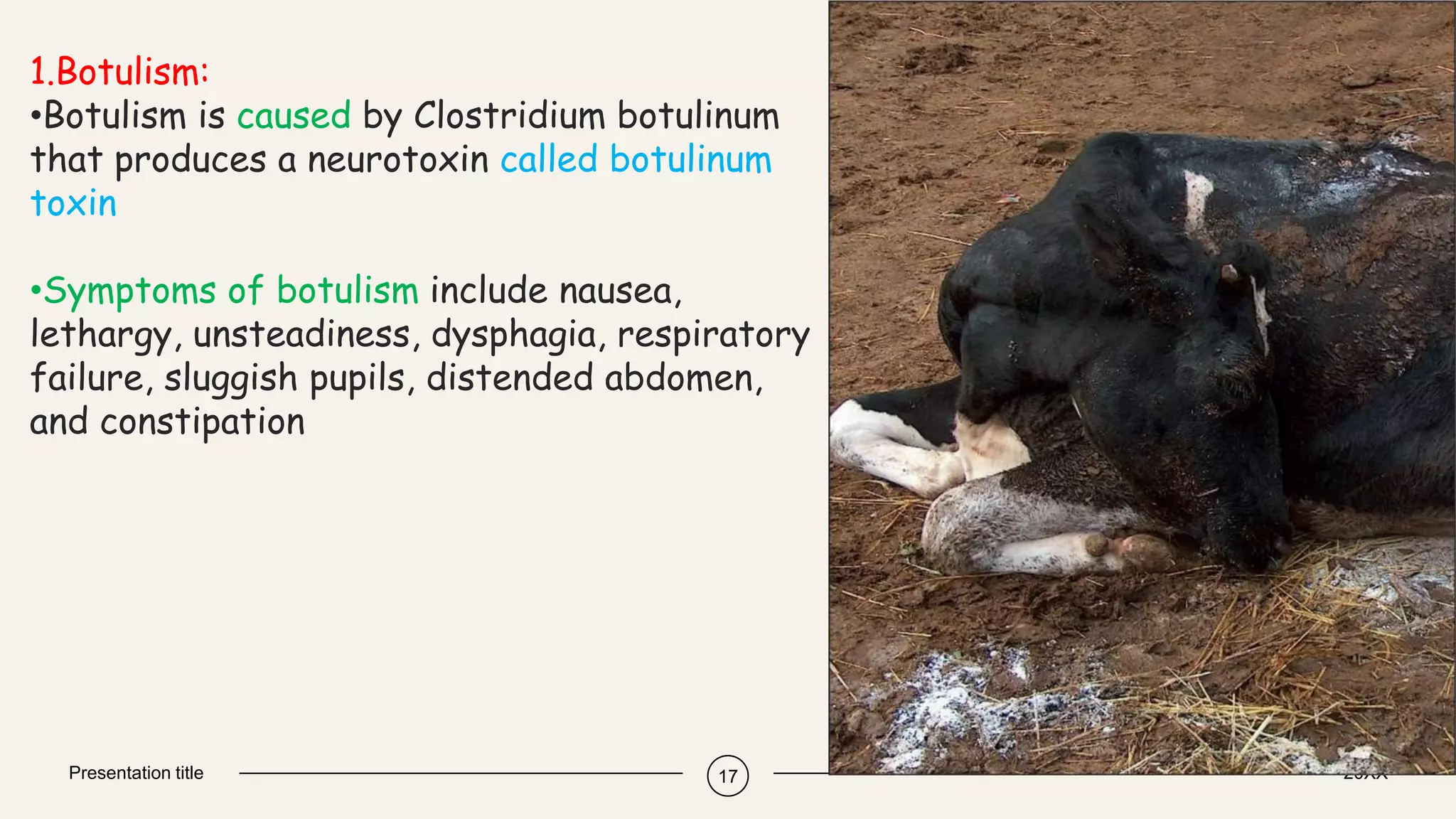 Septicemia and toxemia.pptx