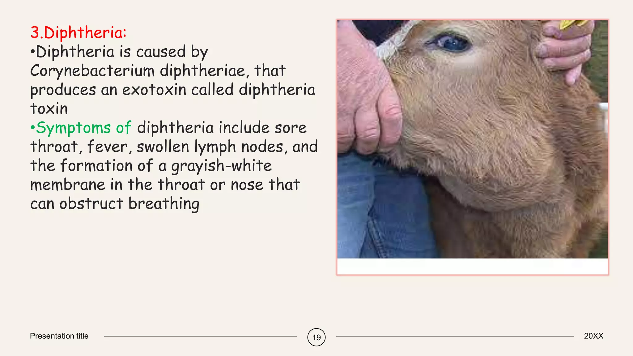 Septicemia and toxemia.pptx