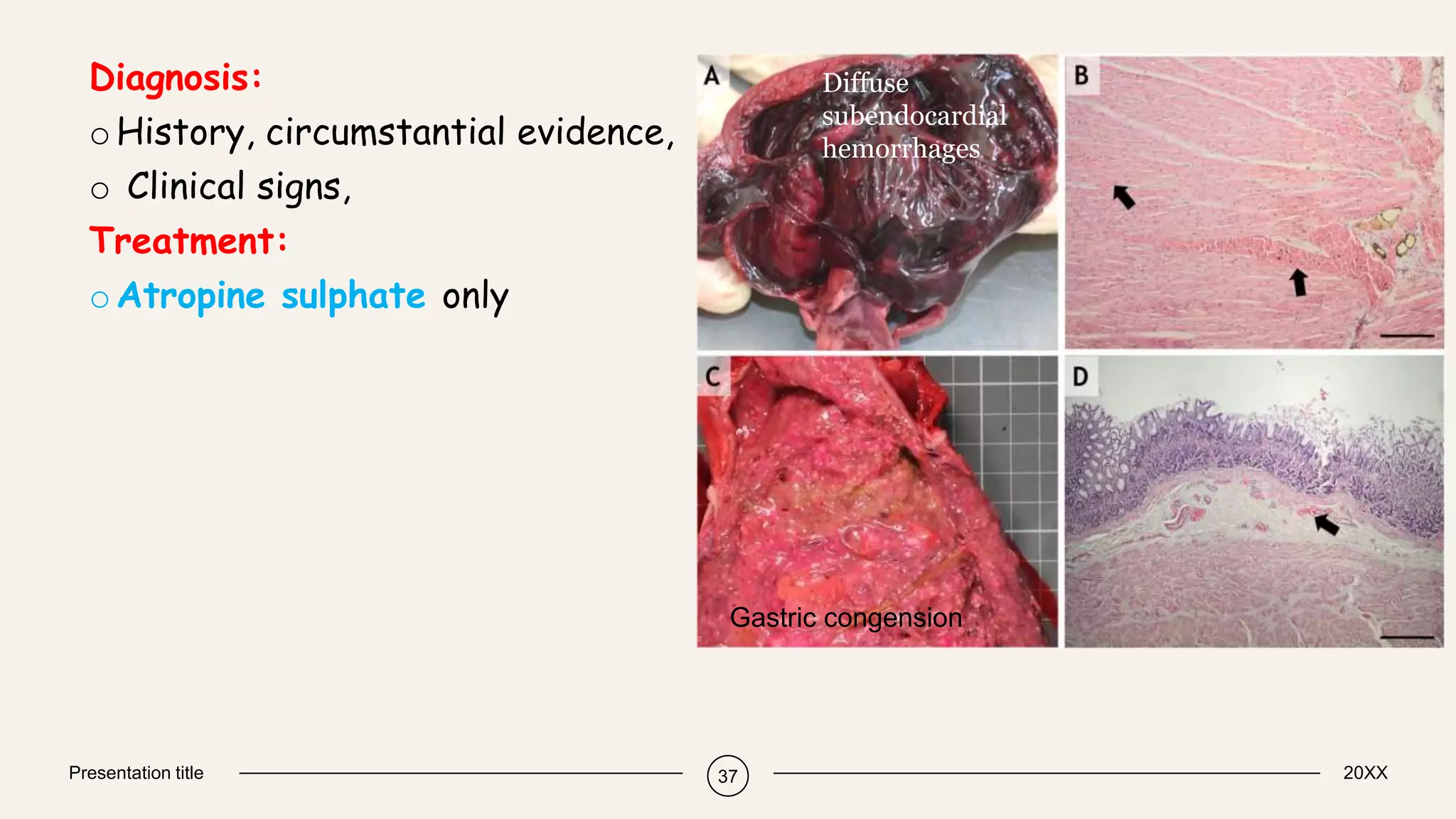 Septicemia and toxemia.pptx