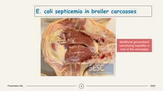 Septicemia and toxemia.pptx