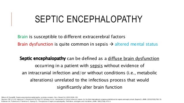 Septic Encephalopathy