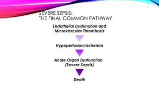 An approach to sepsis, what you need to know about sepsis | PPTX