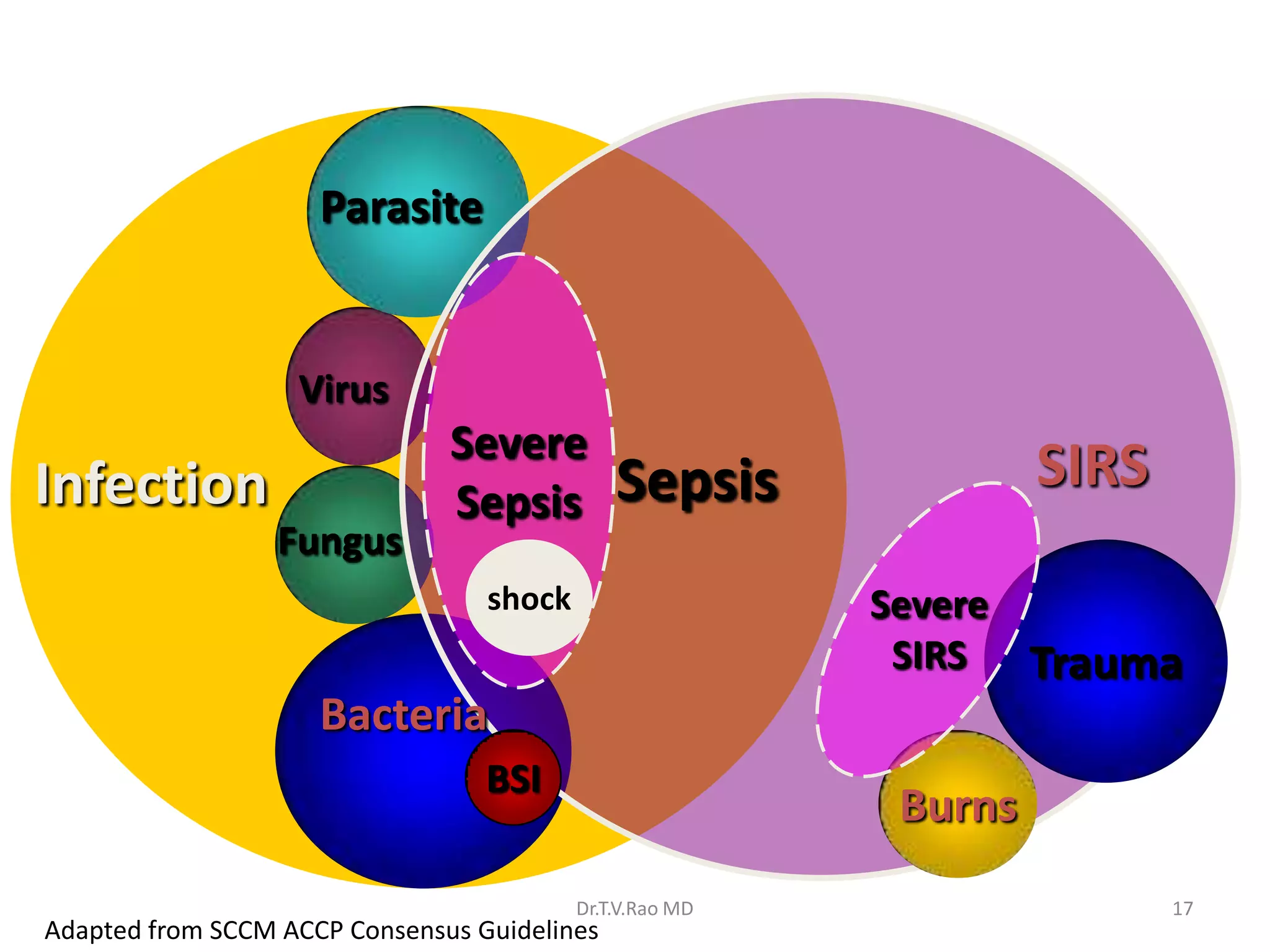 Septic shock Pathophysiology | PPTX