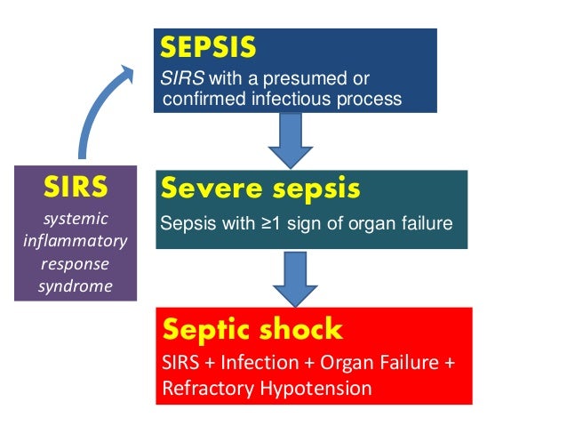 Septic shock; latest update
