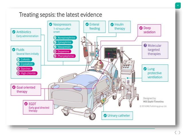 Septic Shock | PPTX | First Aid | Injuries