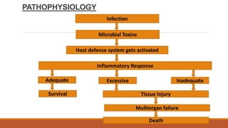 Sepsis Pathophysiology Diagram