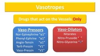 The Golden Hour in Septic Shock Resuscitation "How Precious it is ?" | PDF