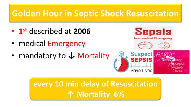 The Golden Hour in Septic Shock Resuscitation "How Precious it is ?" | PPT