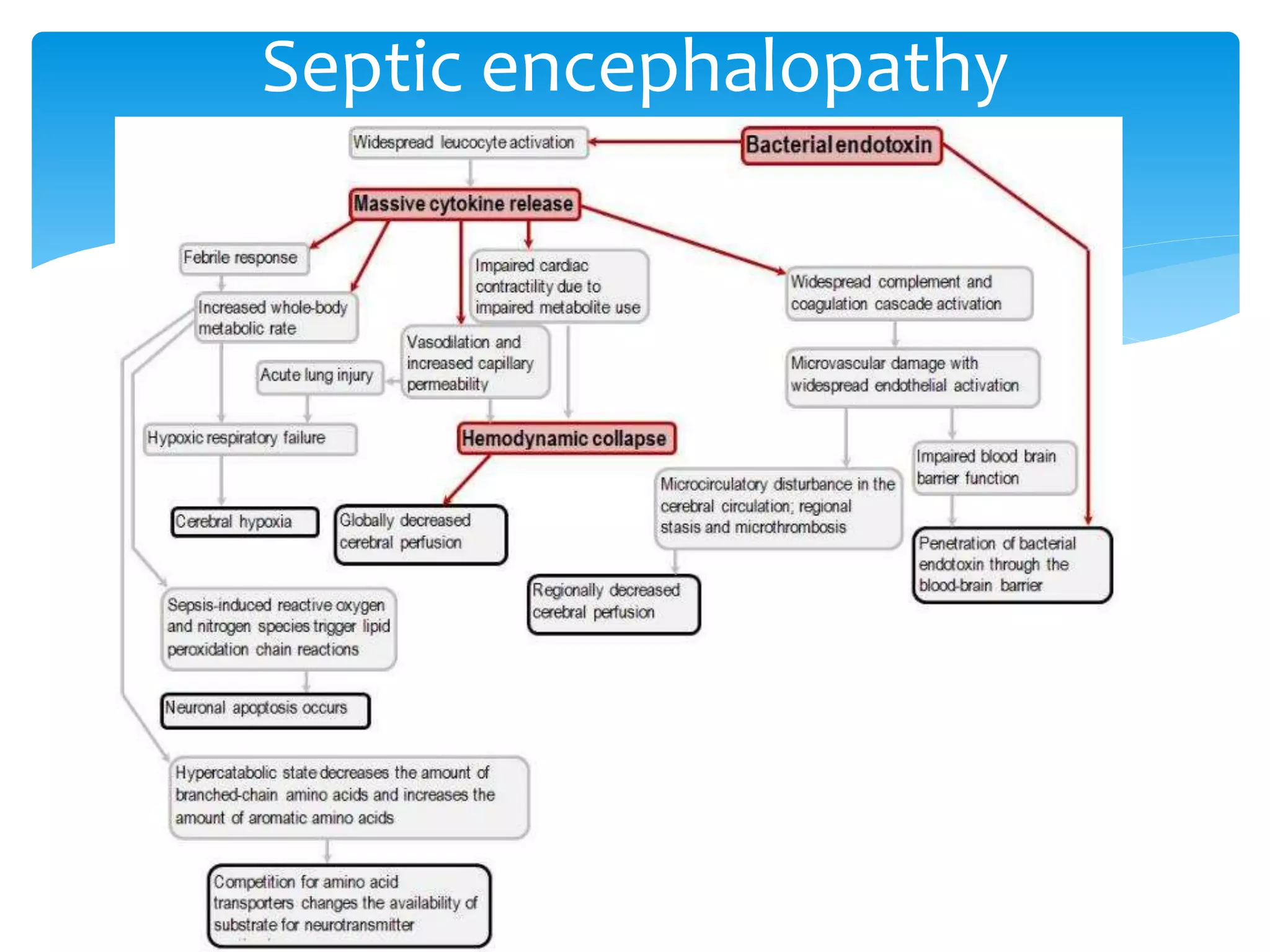 Septic shock.pptx