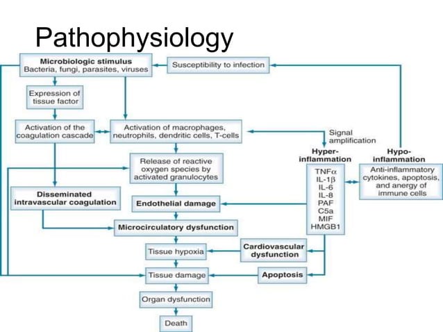Septic shock in pediatric population 2021 | PPTX