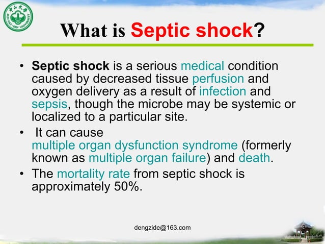 Septic Shock 2010 Dengzide2 | PPT