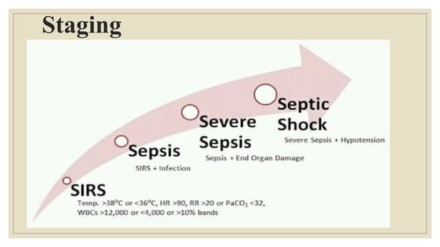 Shock with a focus on Septic shock in pediatrics | PPT