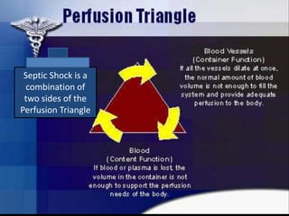 Septic shock presentation | PPTX