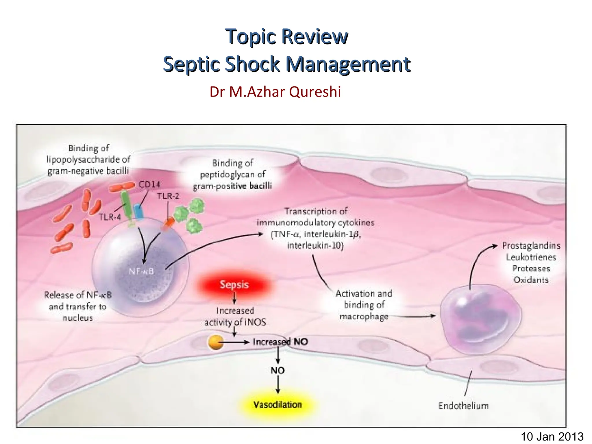 septic shock presentation. a majot threat to Surgeon | PDF