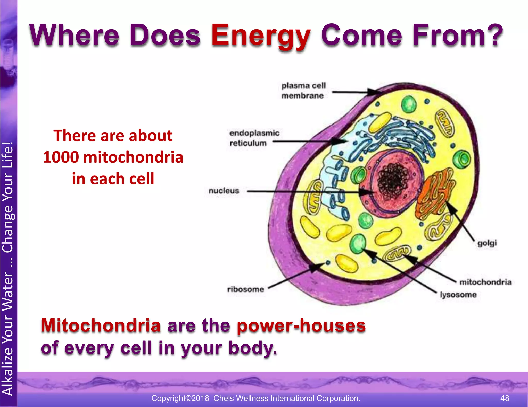 Septillion Presentation | PPT