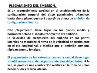 Cuarta a Octava semana de desarrollo humano | PPTX