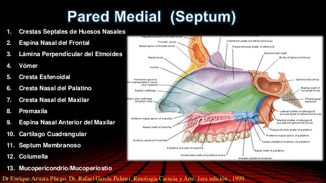Septoplastia por Tecnica de Cottle