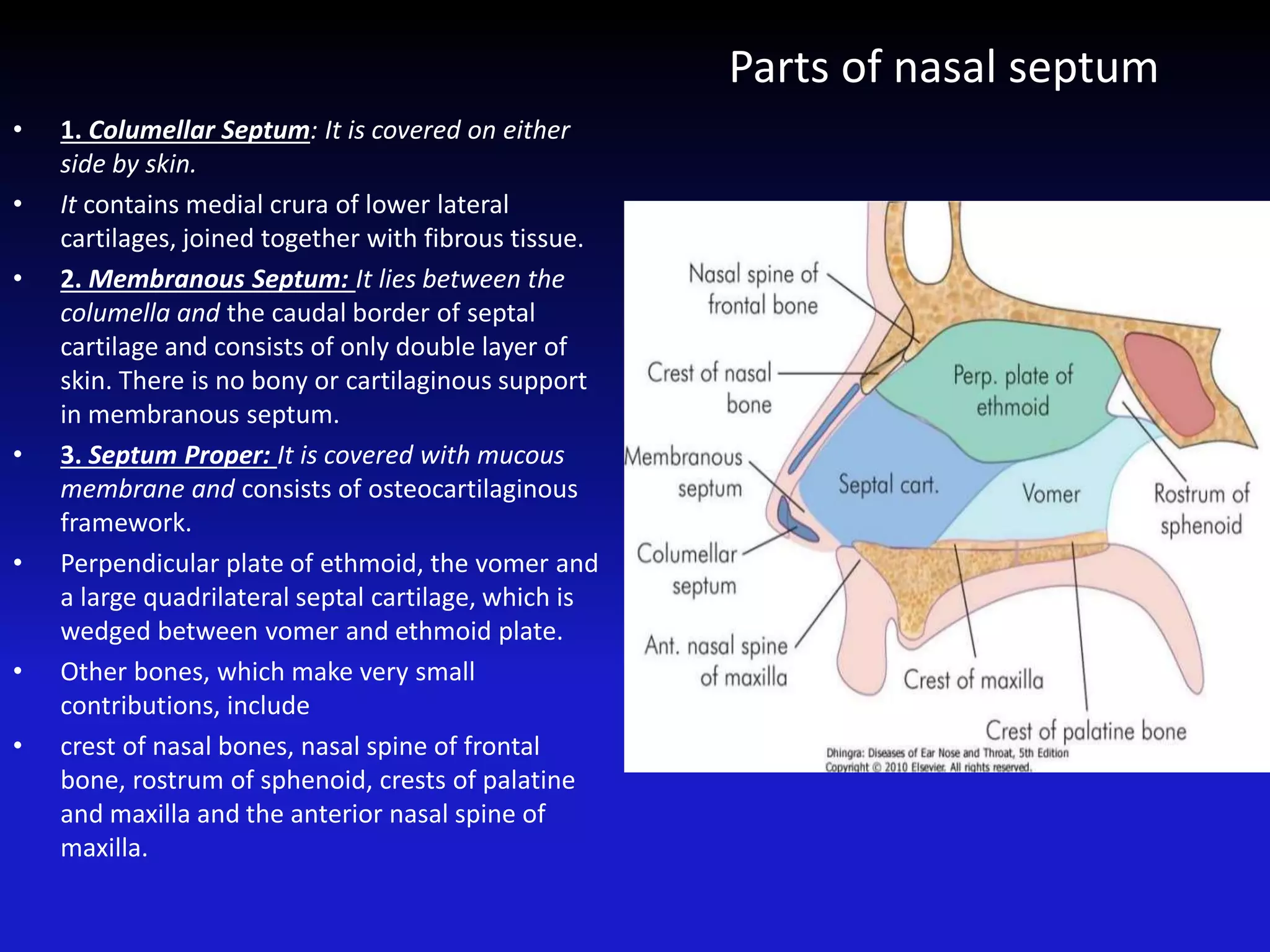 Septoplasty | PPTX