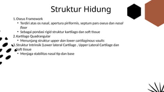 Septorhinoplasty anatomy and physiology.pptx