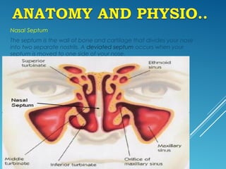 Septplasty | PPT | Ear, Nose and Throat Conditions | Diseases and ...