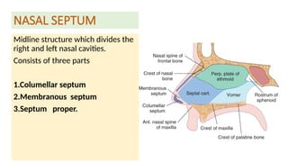 septum and its diseasese detail presentation .pptx