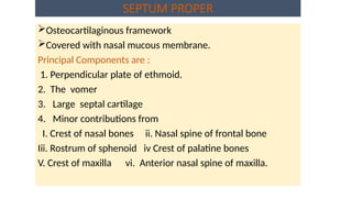 septum and its diseasese detail presentation .pptx