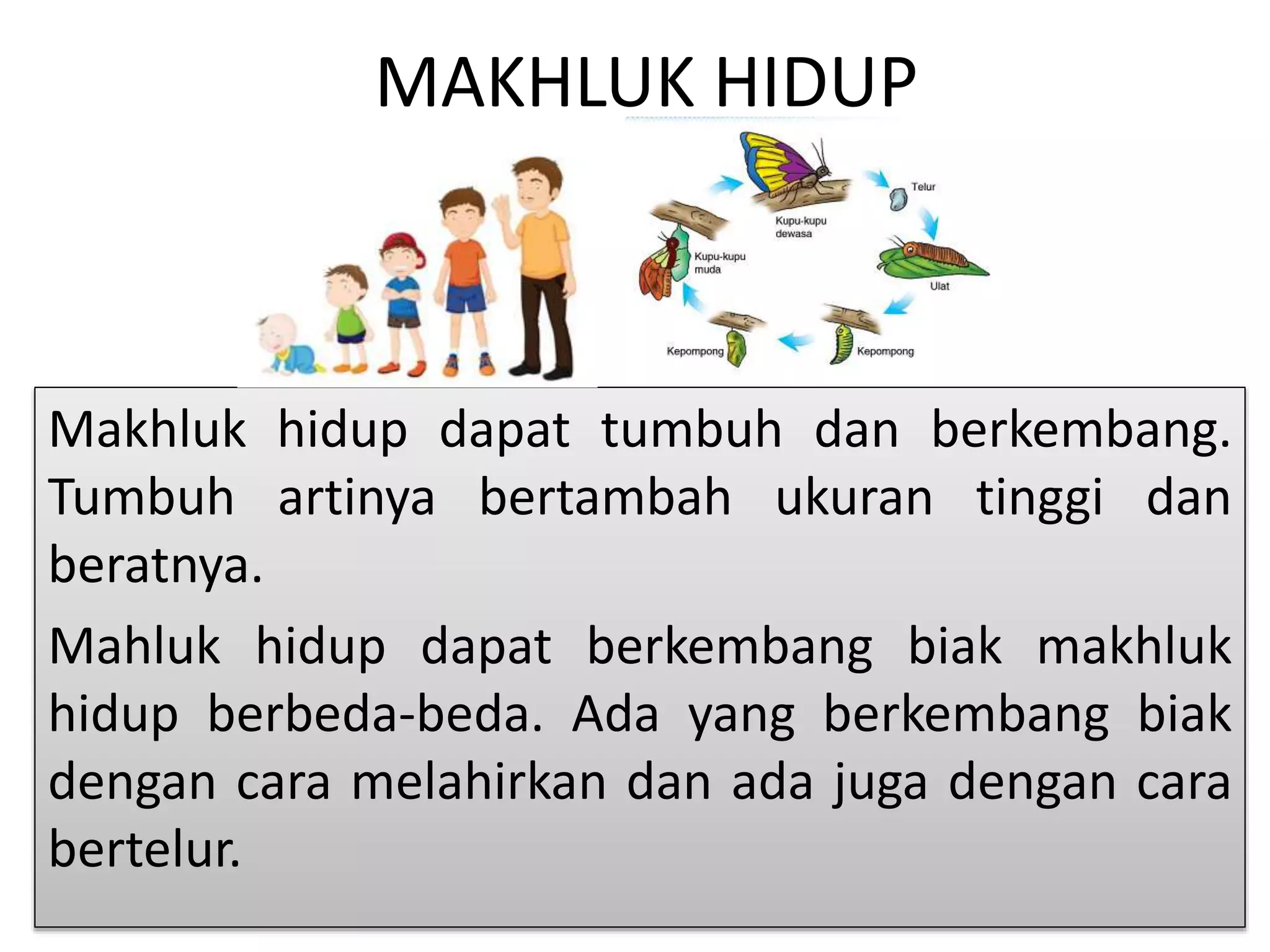 PERTUMBUHAN DAN PERKEMBANGAN MAKHLUK HIDUP | PPTX