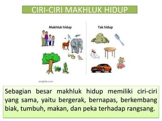 PERTUMBUHAN DAN PERKEMBANGAN MAKHLUK HIDUP | PPTX
