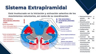 Síndrome cerebeloso y síndrome extrapiramidal | PDF