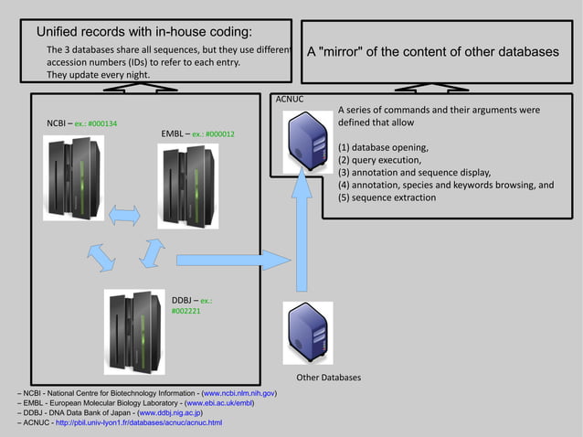 SeqinR - biological data handling | PPT